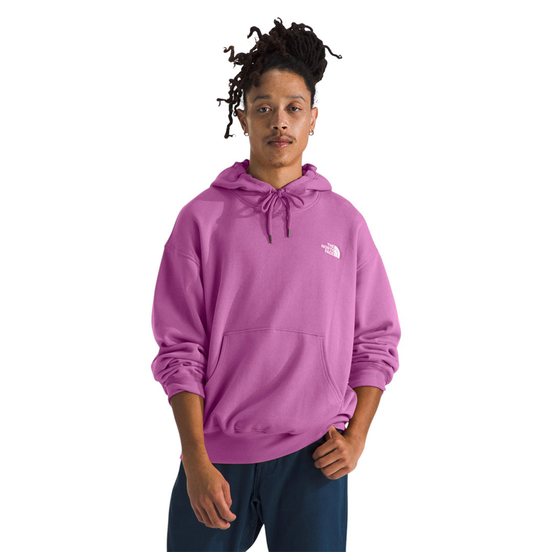 Hoddie Evolution Vintage para hombre color morado - THE NORTH FACE ...